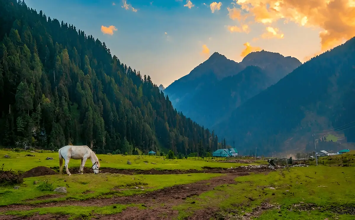 Kashmir in August: Weather, Travel Tips & Best Places to Visit [2025 Guide]